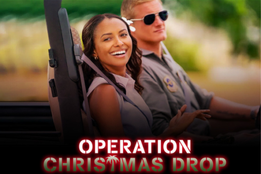 Netflix Holiday Movie Watchlist